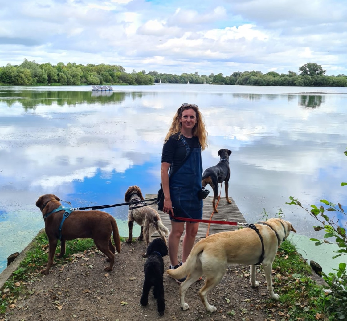 Amy Thomson - Behaviour is Communication - Succeed Together